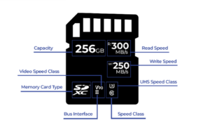 Anatomy of an SD Memory Card: What Matters Most for Photography and ...